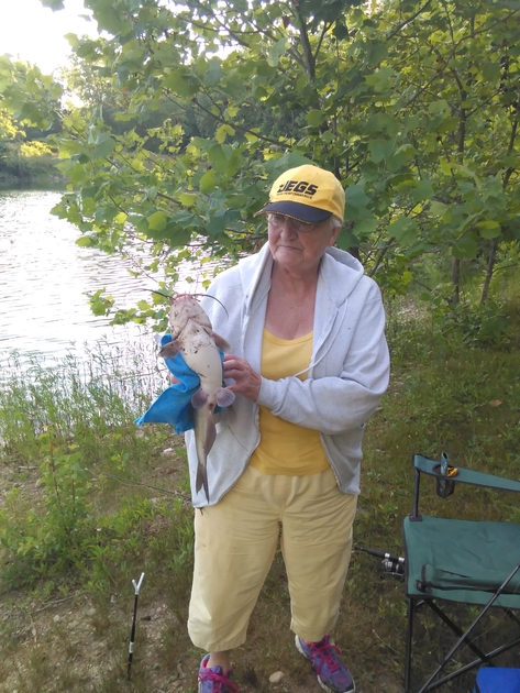 Catfish, 1lb 7oz, 1ft 4in , cought at 06/28/2016 - information about ...