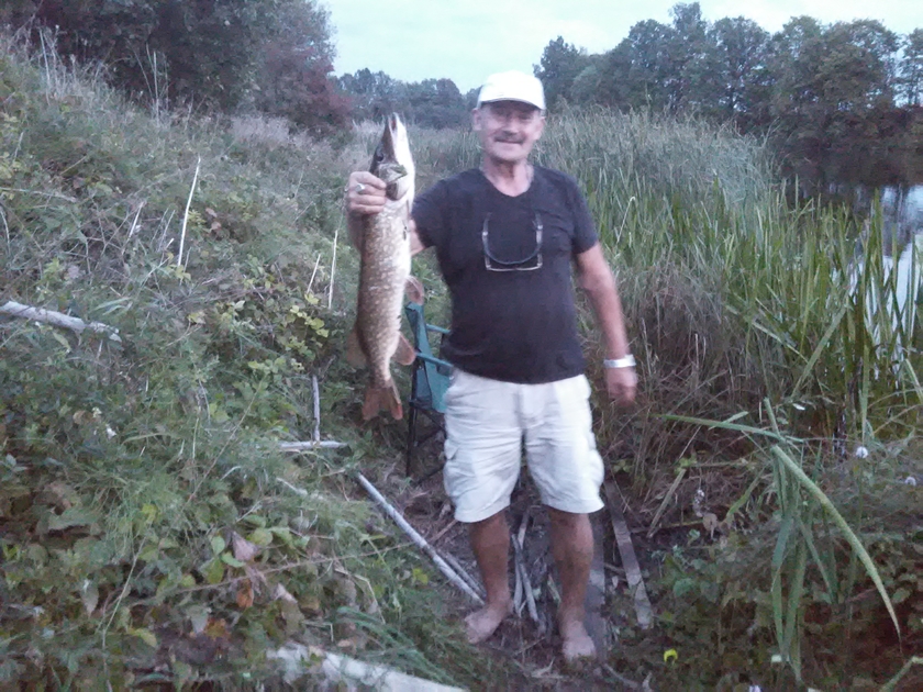 Northern Pike, 4lb 6oz, 2ft 3(1/2)in , cought at 08/28/2016 ...
