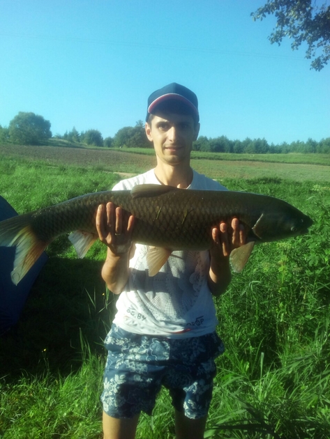 Grass carp, 22lb , cought at 08/27/2016 - information about the catch ...