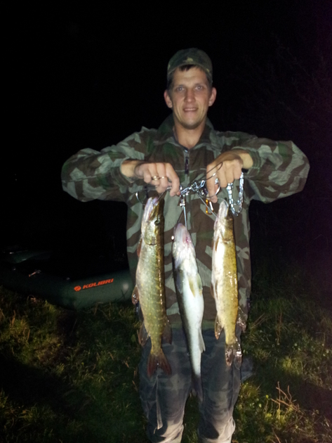 Pike perch, 2lb 3oz, 1ft 8(1/2)in , cought at 08/28/2016 - information ...