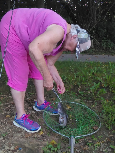 Catfish, 1lb 7oz, 1ft 2in , cought at 08/26/2016 - information about ...