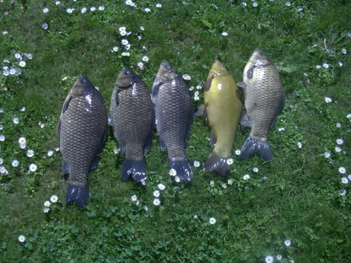 Float fishing on Pond Baisogalos I-asis (Radviliškio, Šiaulių ...