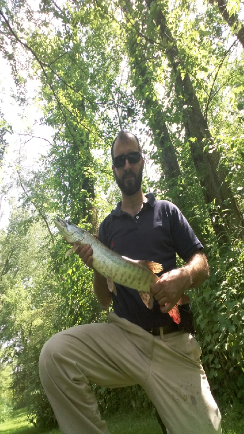 Angling for Muskellunge | pinfishing.com