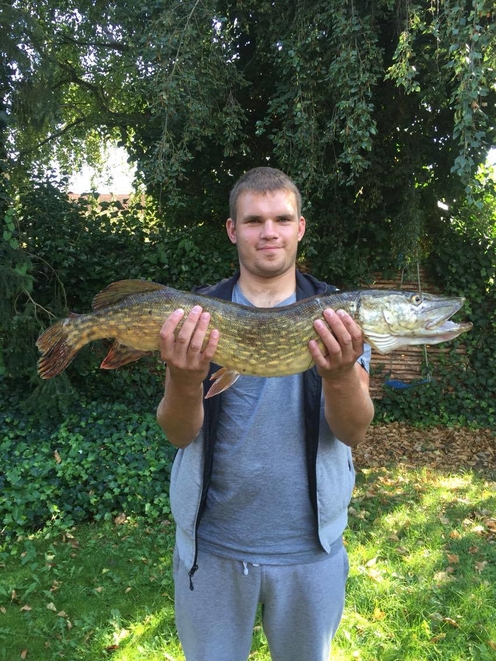 Northern Pike fishing in Denmark | pinfishing.com