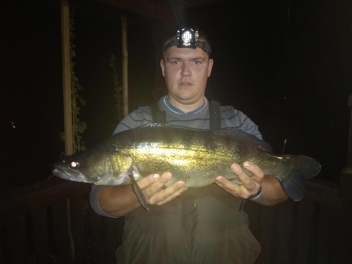 Pike perch, 8lb 13oz , cought at 10/17/2017 - information about the ...