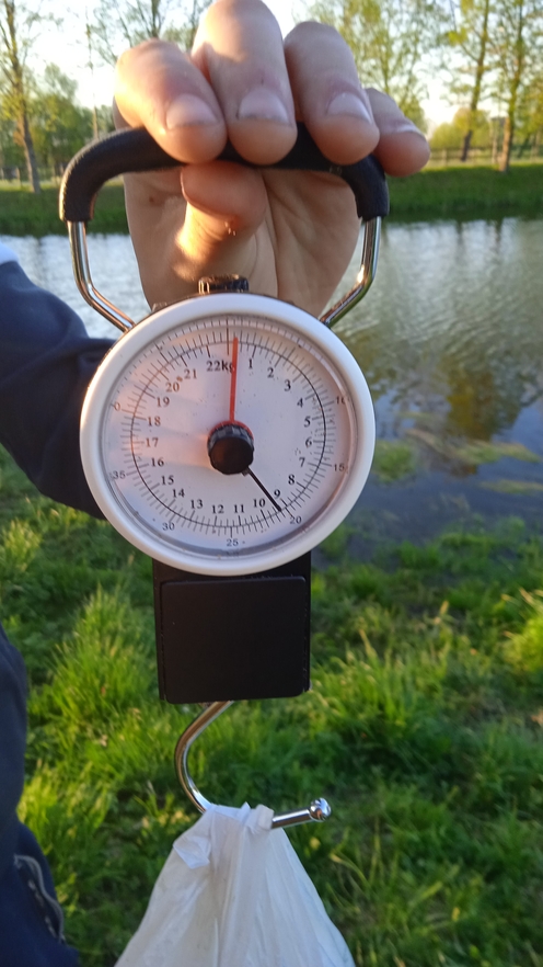 Northern Pike fishing on Pond Rokiškio II-asis (Rokiškio, Panevėžio ...
