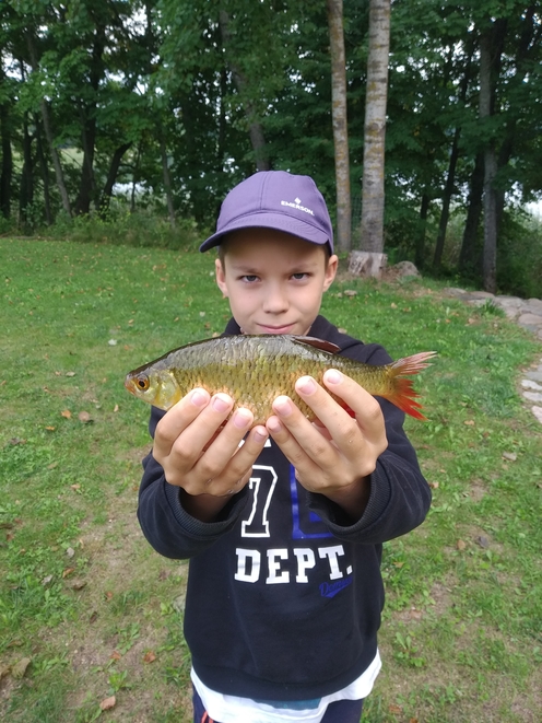 Rudd fishing on lakes | pinfishing.com