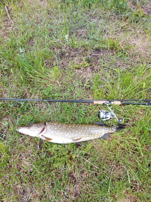 Fishing with Relax lures | pinfishing.com