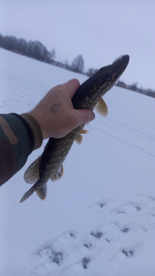 Fishing during a first quarter | pinfishing.com