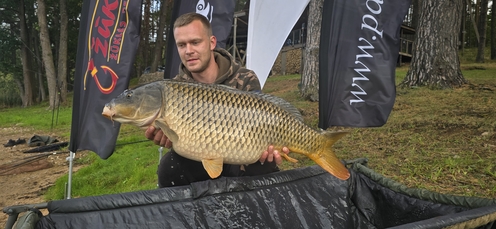 Carp, 33lb 8oz, 2ft 11in , cought at 09/19/2025 - information about the ...