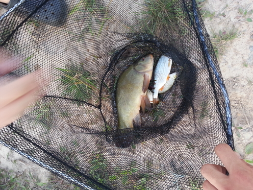 Fishing with natural baits on Pit Klovainių I-asis (Pakruojo, Šiaulių ...