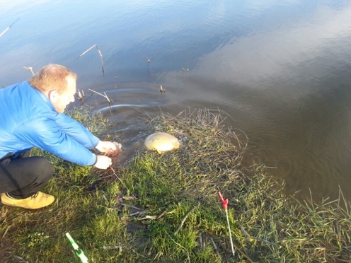 Float fishing on Pond Kretingos parko III-asis (Kretingos, Klaipėdos ...