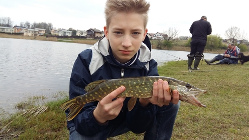 Northern Pike fishing on Pond Riešės (Vilniaus, Vilniaus) | pinfishing.com