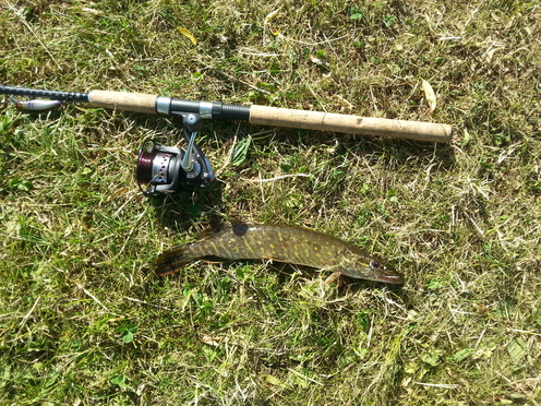 Fishing with wobblers on Pond Šalčininkų II-asis (Šalčininkų, Vilniaus ...