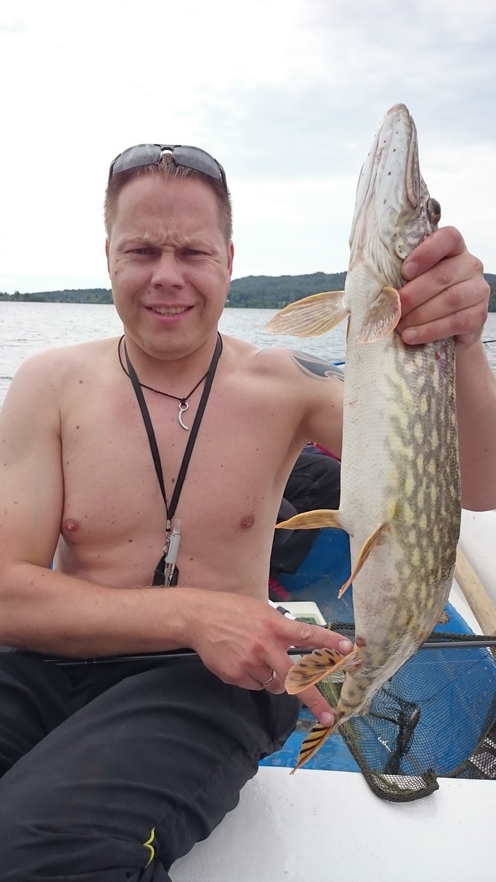 Northern Pike, 7lb 11oz , cought at 06/13/2015 - information about the ...