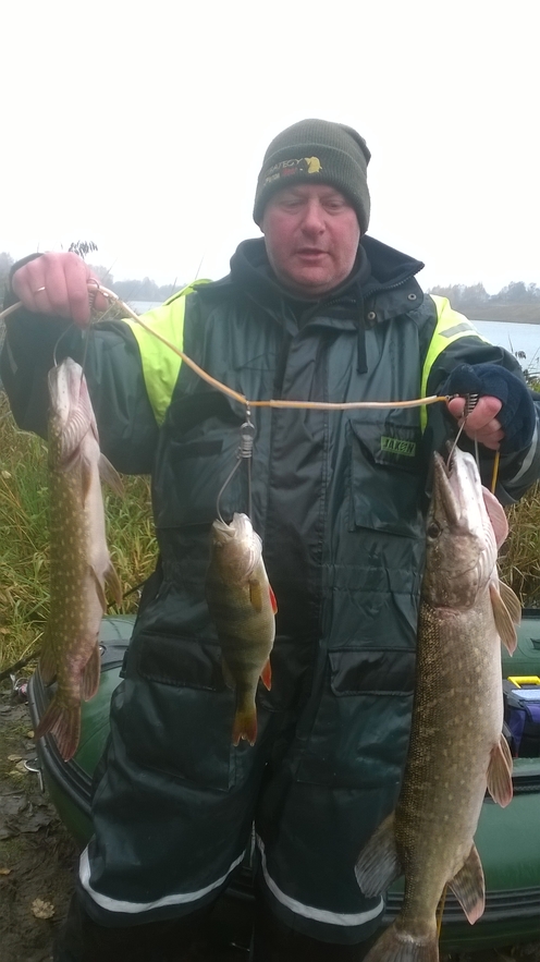 Northern Pike, 6lb 6oz , cought at 10/19/2014 - information about the ...