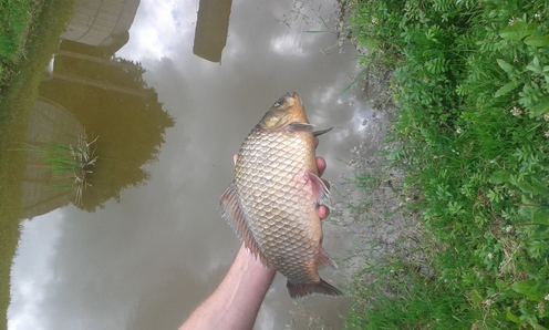 Float fishing on Pond Botanikos Parko II-asis (Skuodo, Klaipėdos ...