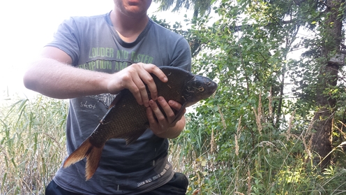Carp bream, 3lb 4oz , cought at 08/22/2015 - information about the ...