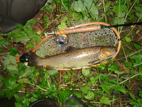 Margasis upėtakis, 2lb 10oz, 1ft 7in - information about the catch ...