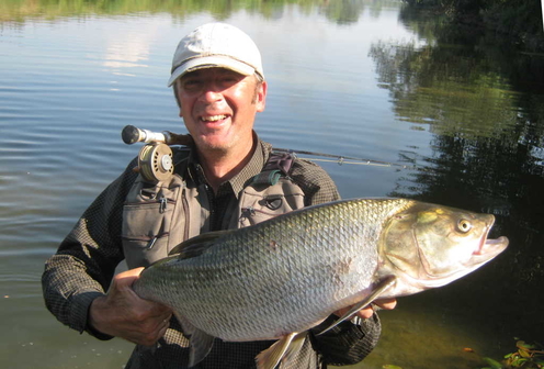 Asp fishing in Serbia | pinfishing.com