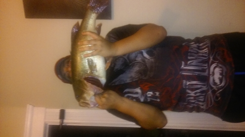 Largemouth Bass fishing in Worcester, Massachusetts | pinfishing.com