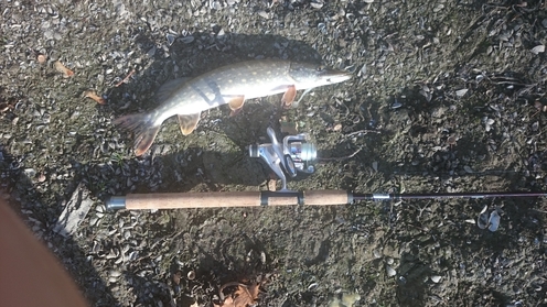 Fishing with soft baits on Pond Marijampolės II-asis (Marijampolės ...