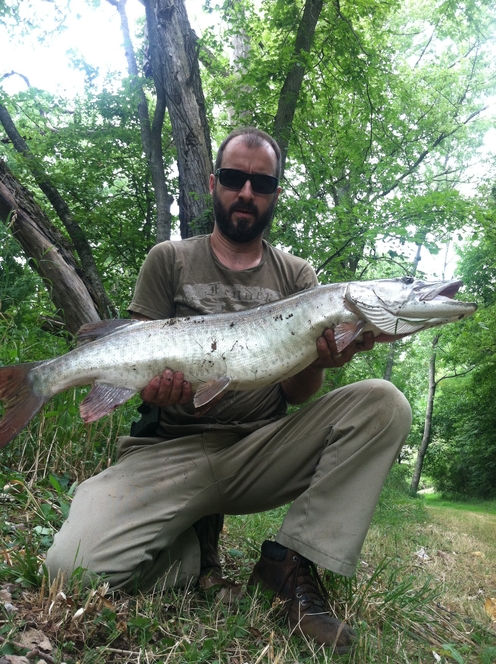 Spinning for Muskellunge | pinfishing.com