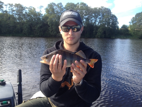 Spinning on Pond Pašiaušės I-asis (Kelmės, Šiaulių) | pinfishing.com